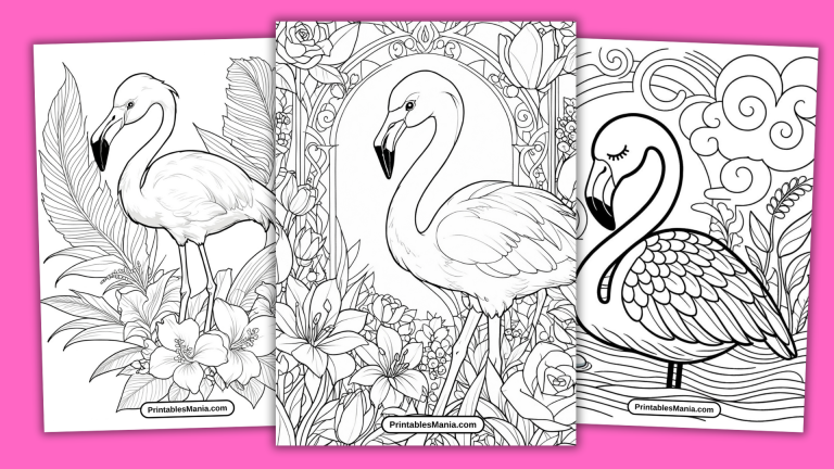 Flamingo Printable Coloring Pages - Printables Mania