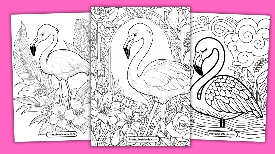 Flamingo Printable Coloring Pages - Printables Mania