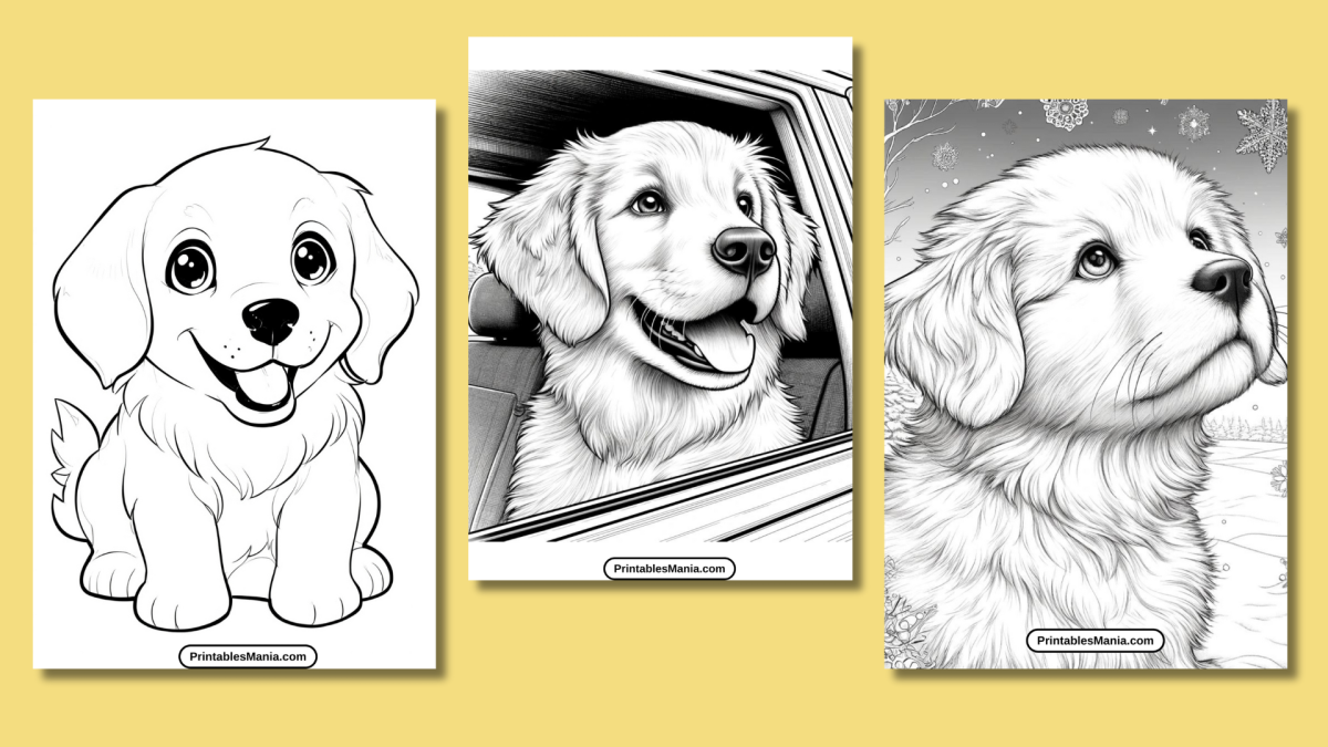 Golden Retriever Puppy Coloring Page - Printables Mania