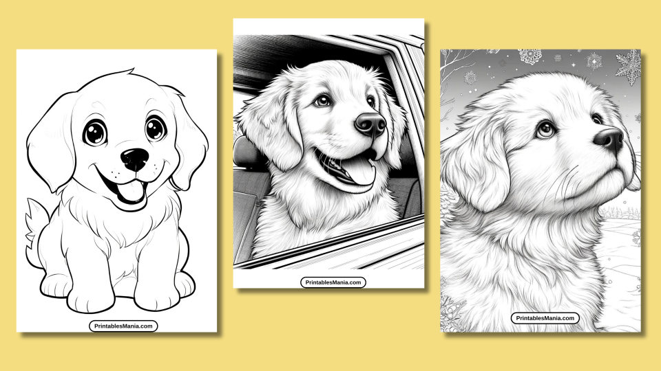 Golden Retriever Puppy Coloring Page - Printables Mania
