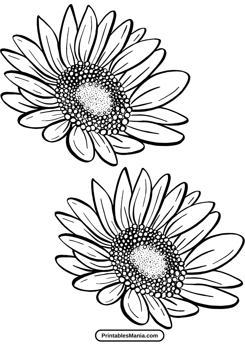 Sunflower Printable Template - Printables Mania