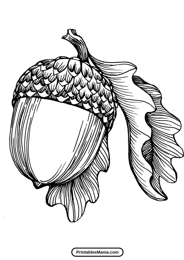 Printable Acorn Template - Printables Mania