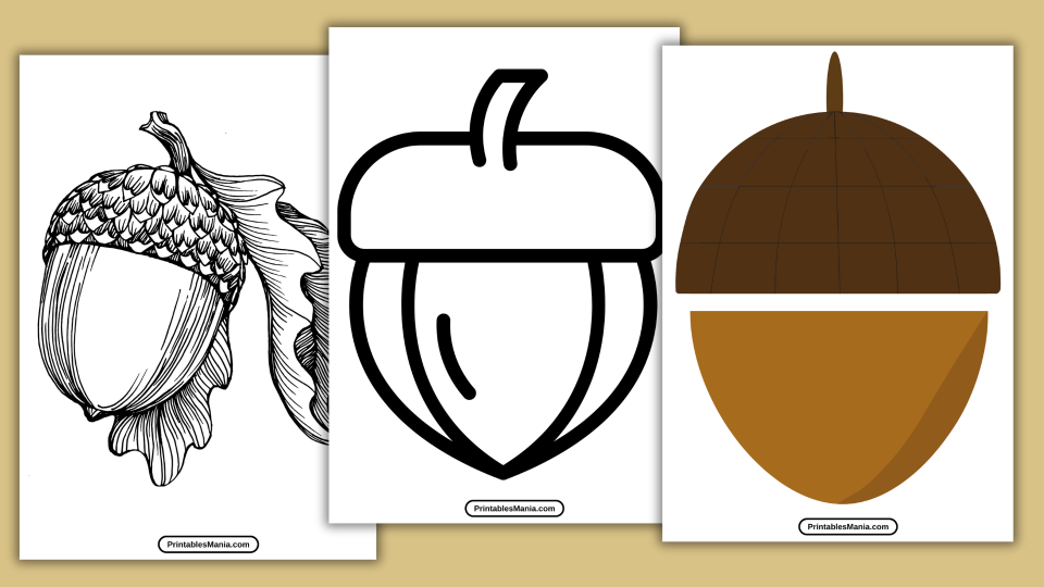 Printable Acorn Template - Printables Mania