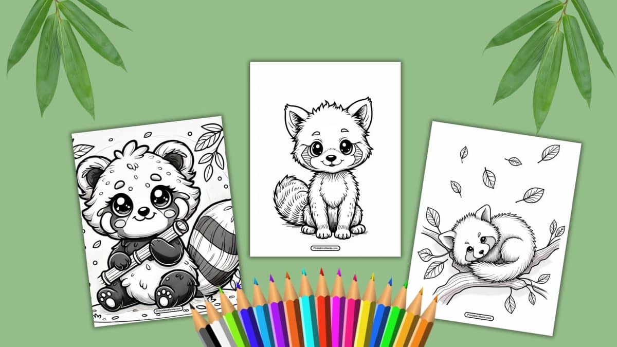 Red Panda Coloring Page - Printables Mania